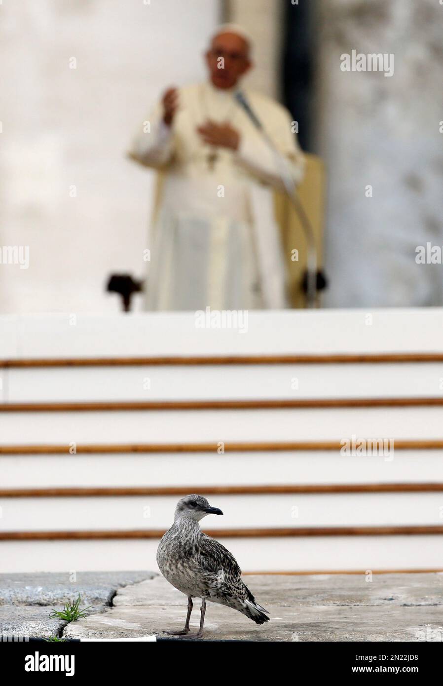 A seagull stands as Pope Francis delivers his blessing during an ...