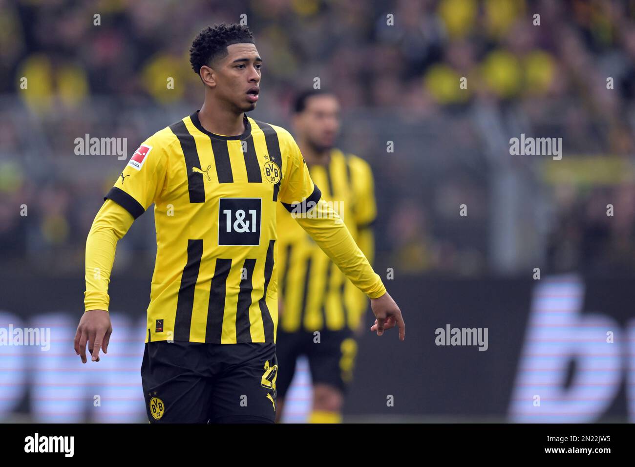 DORTMUND - Jude Bellingham of Borussia Dortmund during the Bundesliga ...