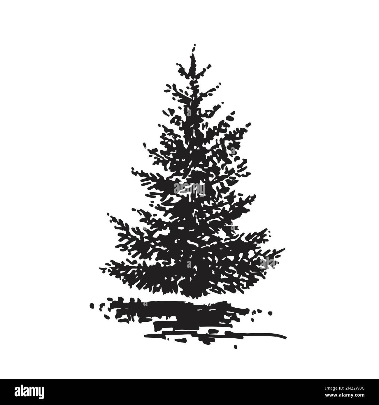 Hand-drawn tree, fir. Black and white realistic image, sketch painted ...