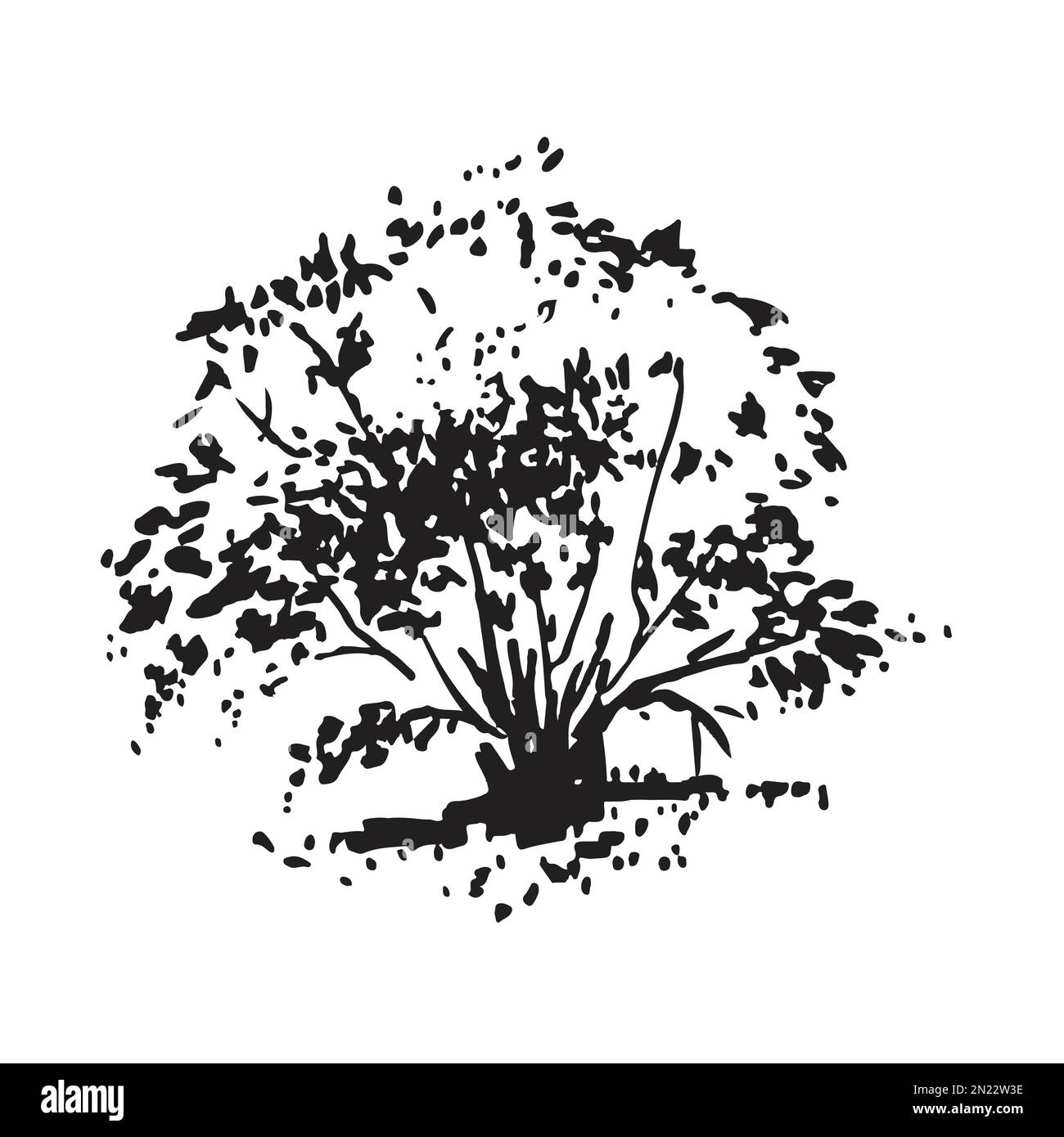 Hand-drawn bush. Black and white realistic image, sketch painted with ...