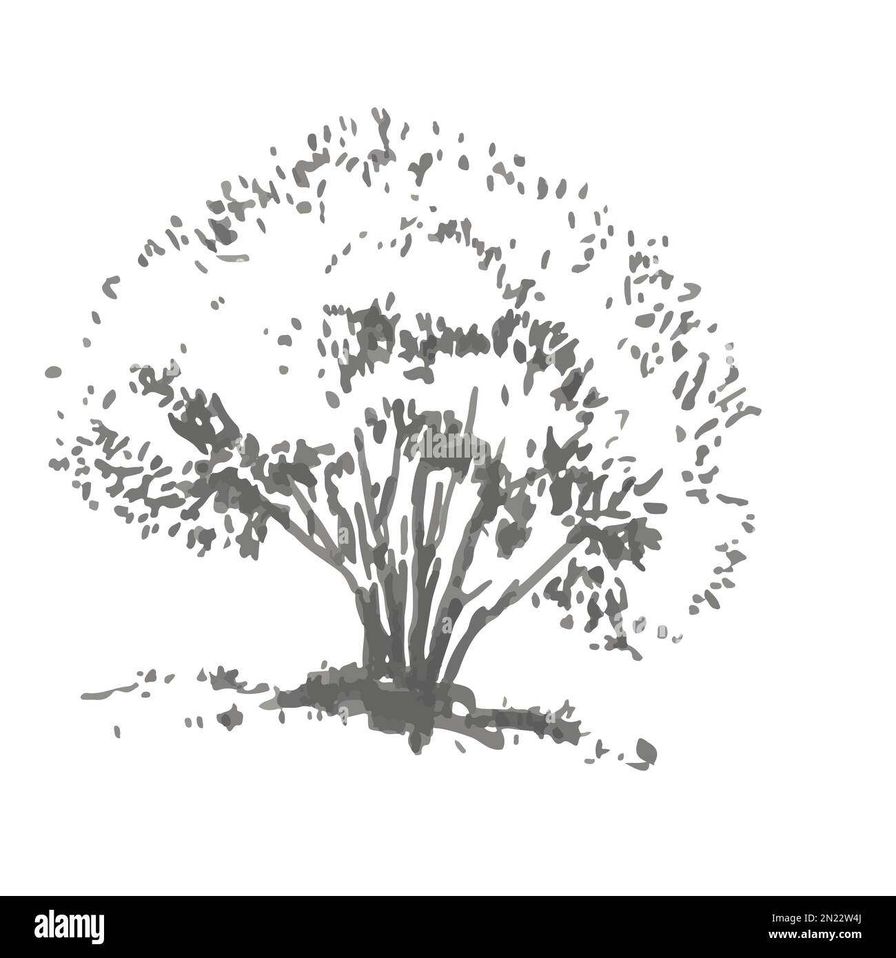 Hand-drawn bush. Rrealistic image in shades of gray, sketch painted ...