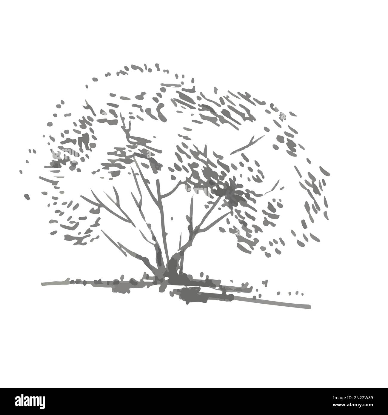 Hand-drawn bush. Rrealistic image in shades of gray, sketch painted ...