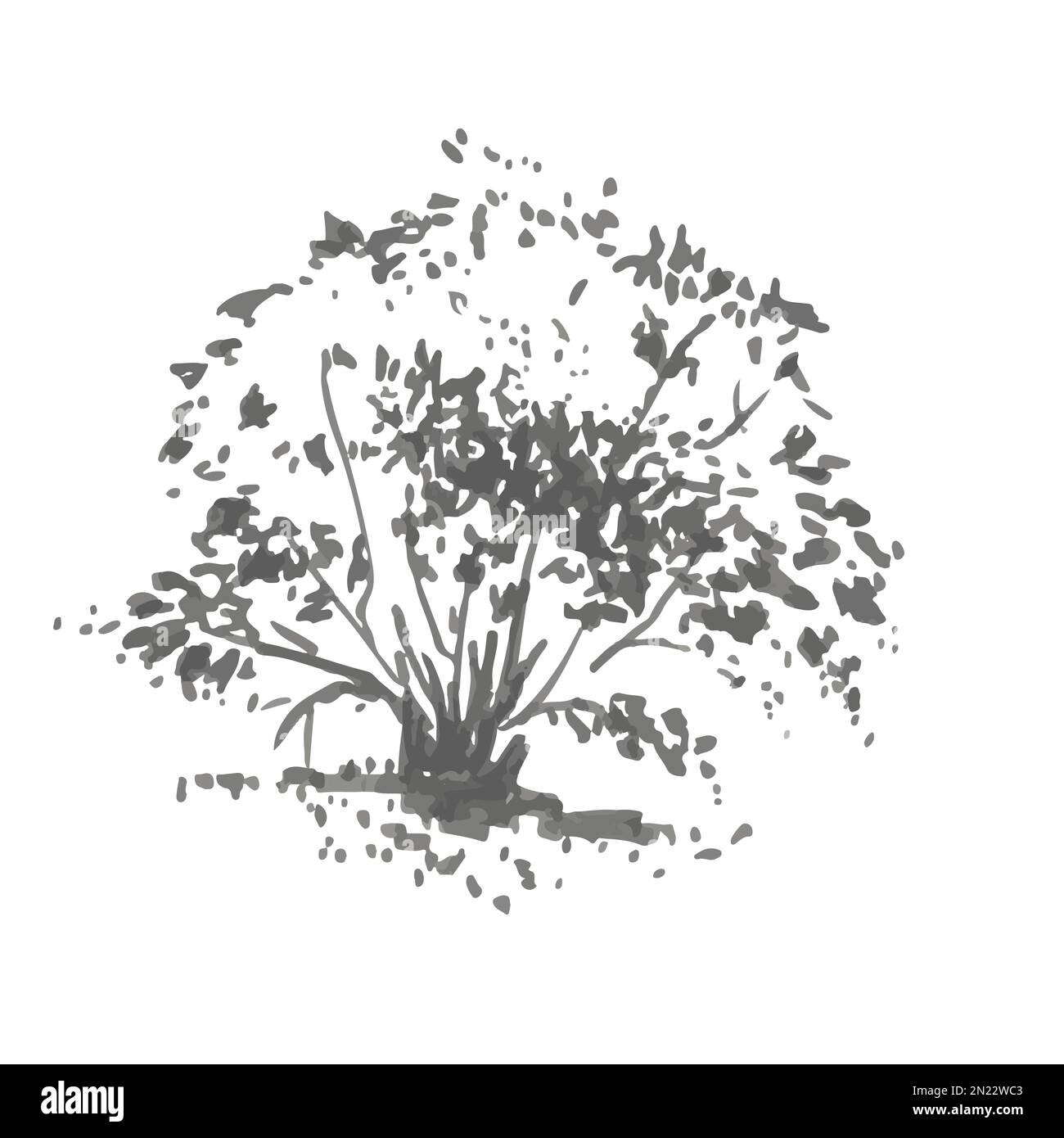 Hand-drawn bush. Rrealistic image in shades of gray, sketch painted ...