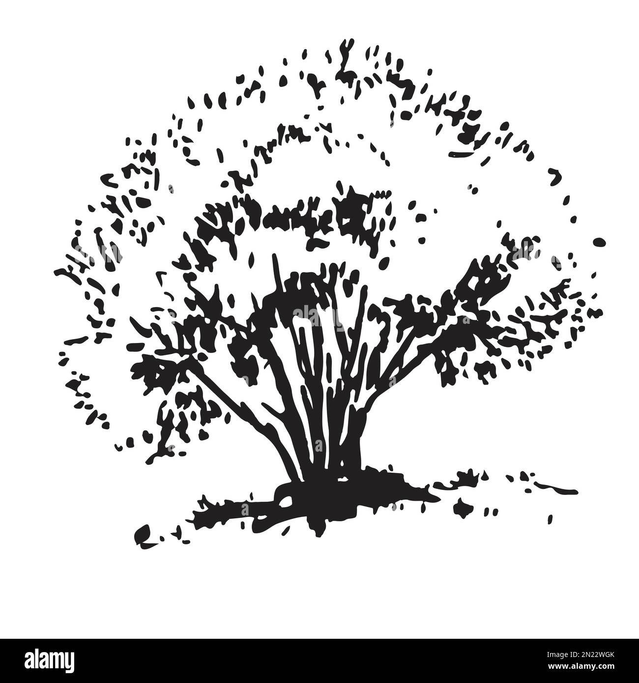 Hand-drawn bush. Black and white realistic image, sketch painted with ...