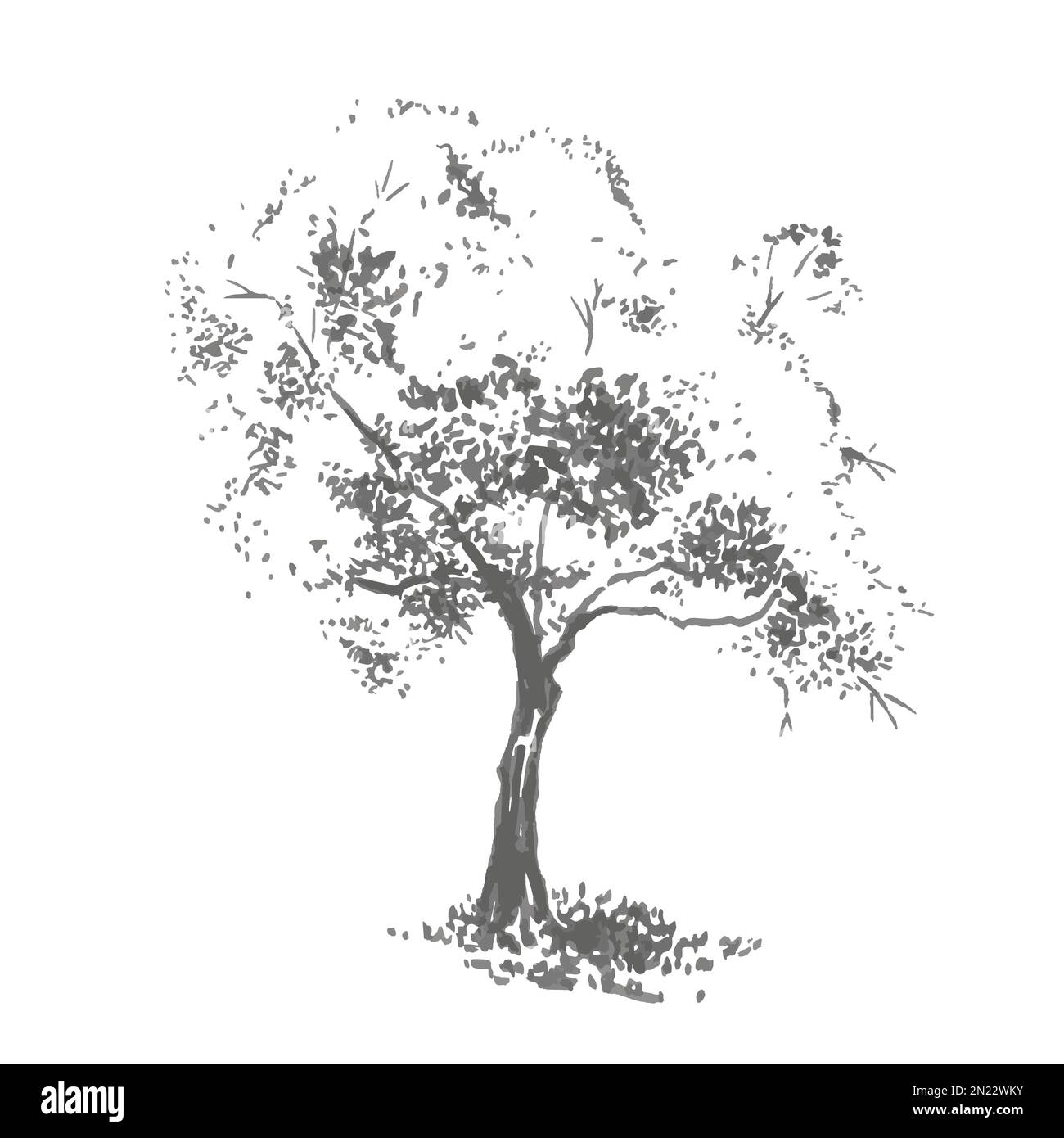 Hand-drawn aple tree. Realistic image in shades of gray, sketch painted ...