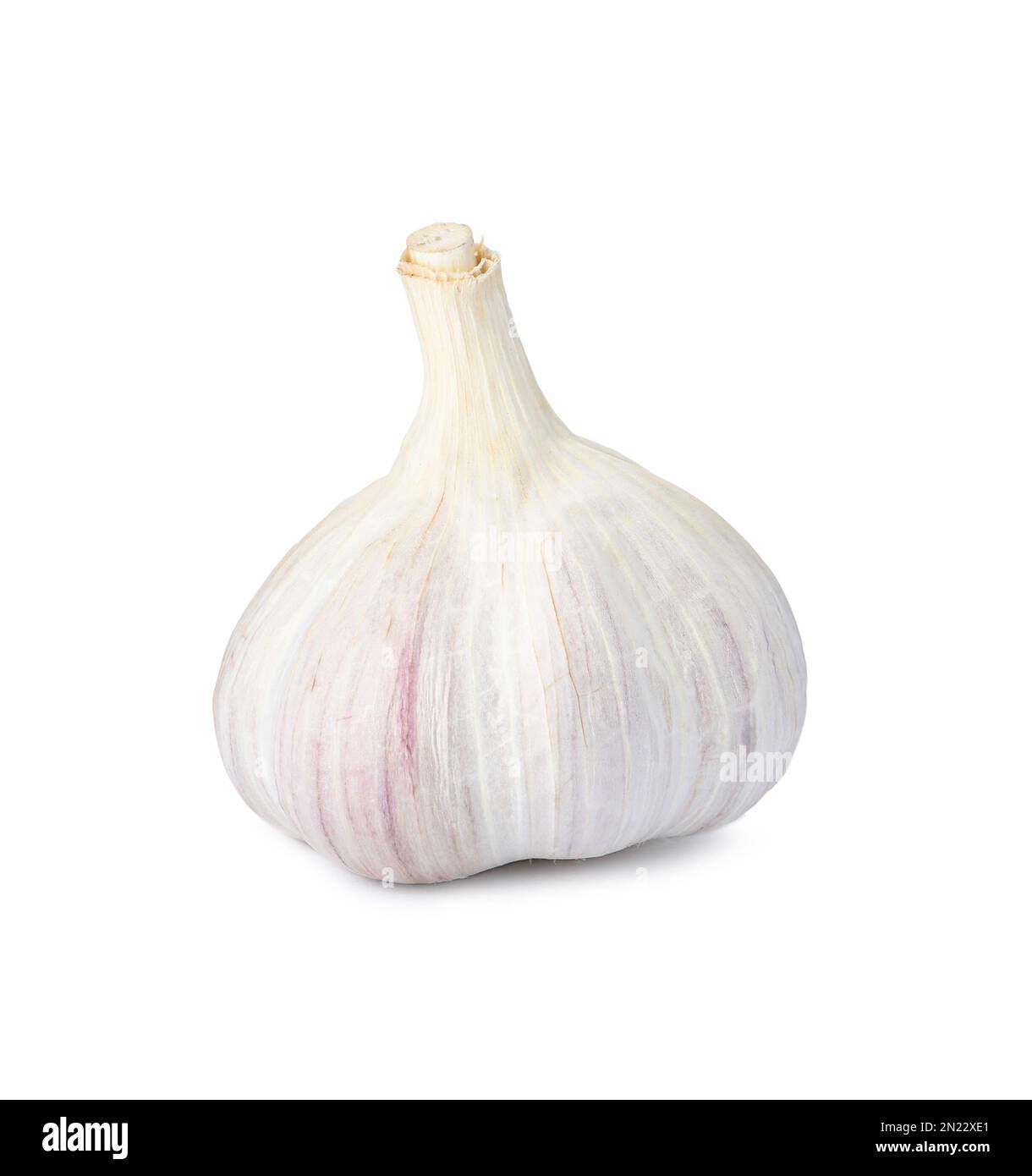 Fresh organic garlic bulb on white background Stock Photo - Alamy
