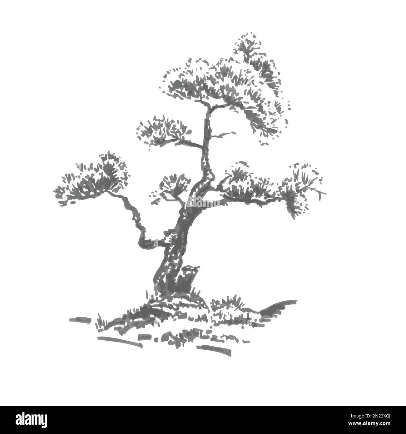 Hand-drawn tree, pine. Realistic image in shades of gray, sketch ...
