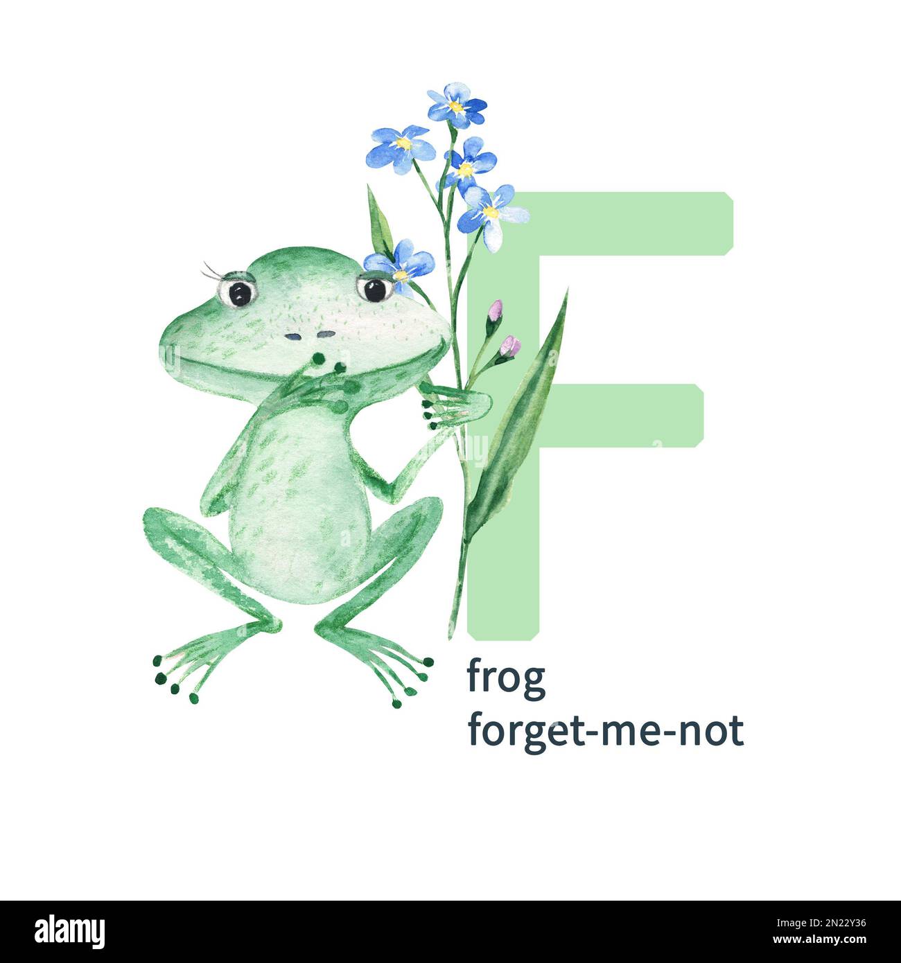 Letter F, frog with forget me not flower, cute kids colorful animals ...