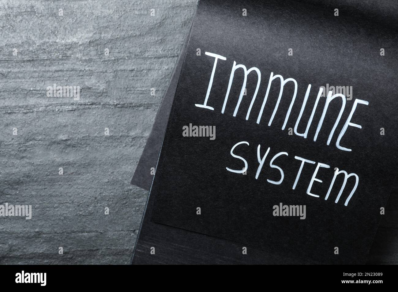 Notebook with words Immune System on black table, top view. Space for ...