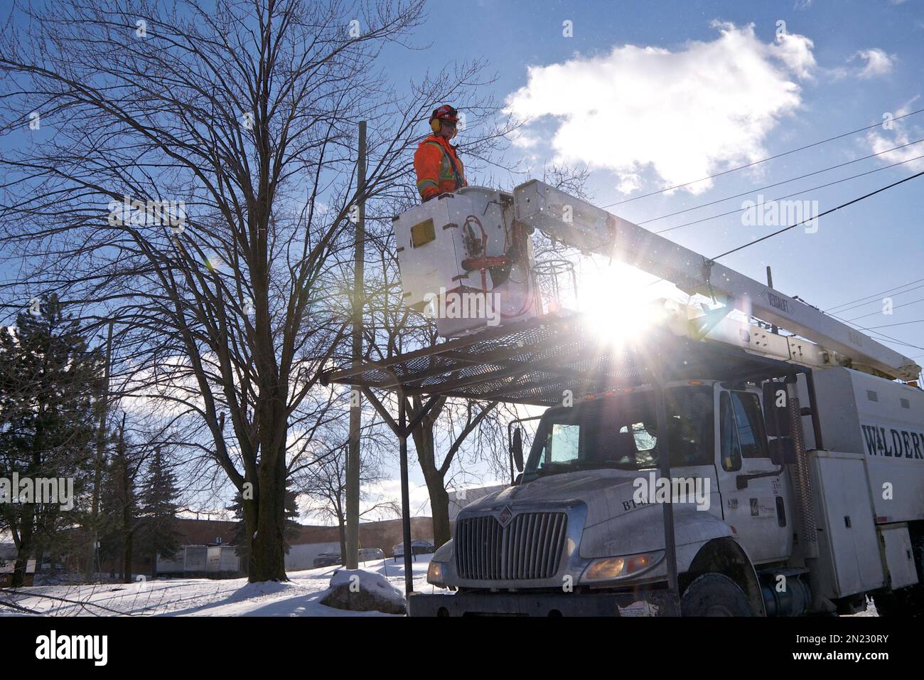 Toronto, Ontario / Canada - 12/31/2019: Man removing branches from the ...