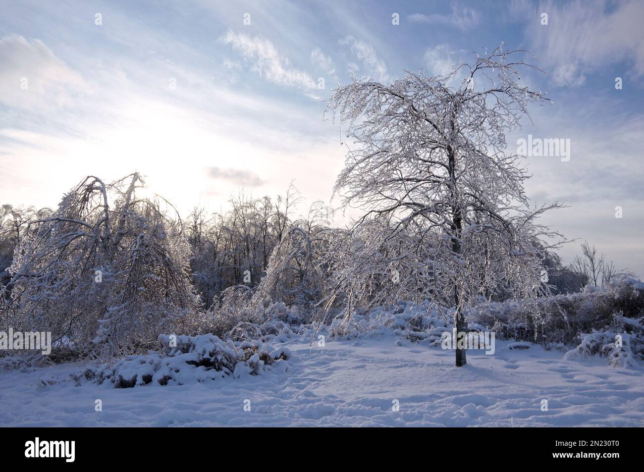 Winter landscape of the severe weather - freezing rain storm Stock ...