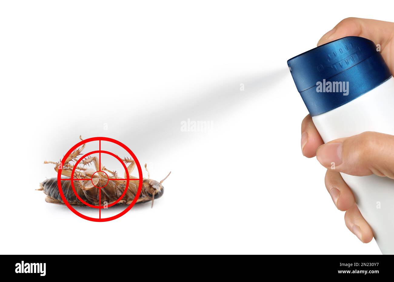 Pest control. Using household insecticide to kill cockroach on white ...