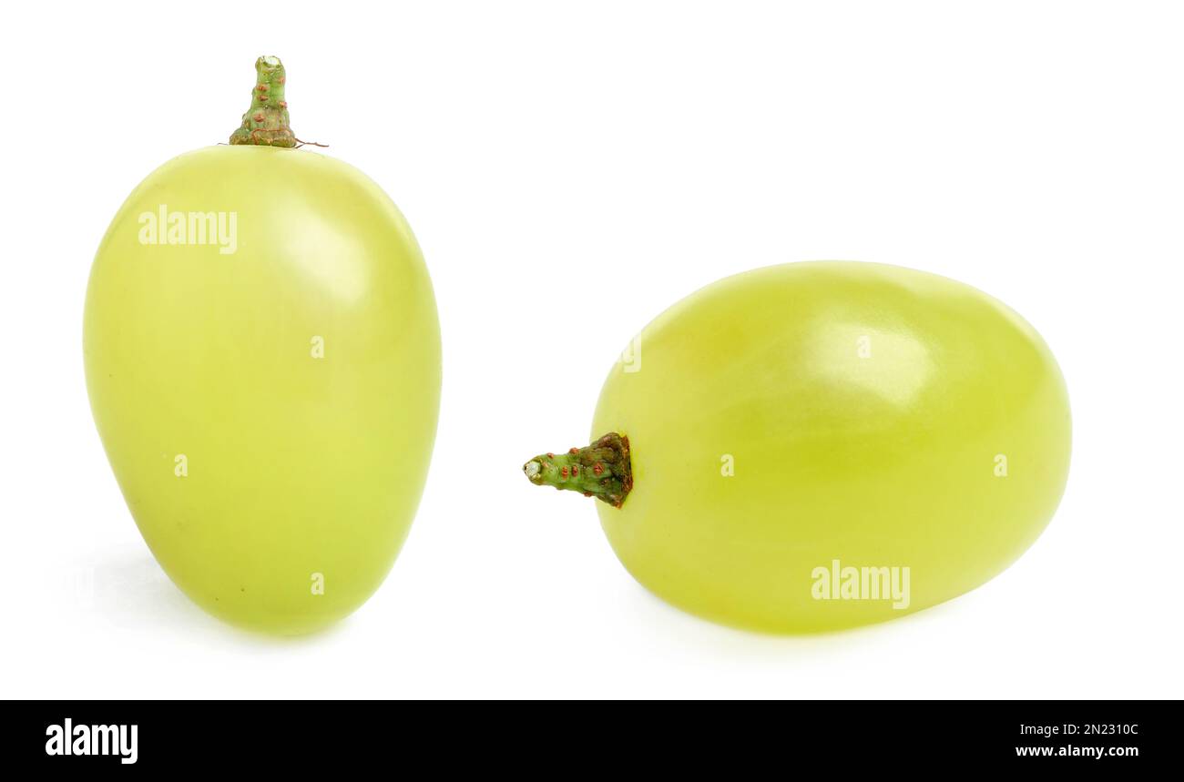 Two fresh ripe grapes on white background Stock Photo - Alamy