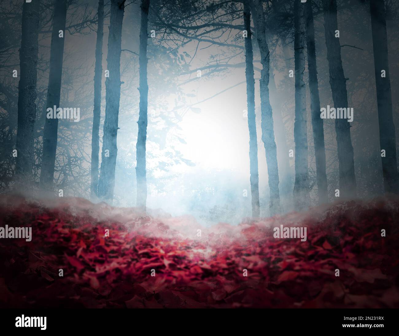 Fantasy world. Creepy foggy forest with fallen red leaves Stock Photo ...