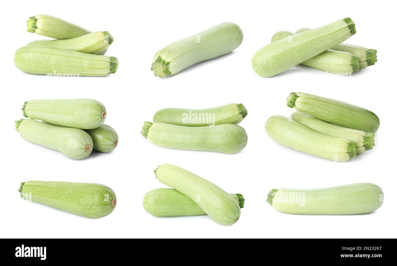 Set of fresh whole squashes on white background Stock Photo - Alamy