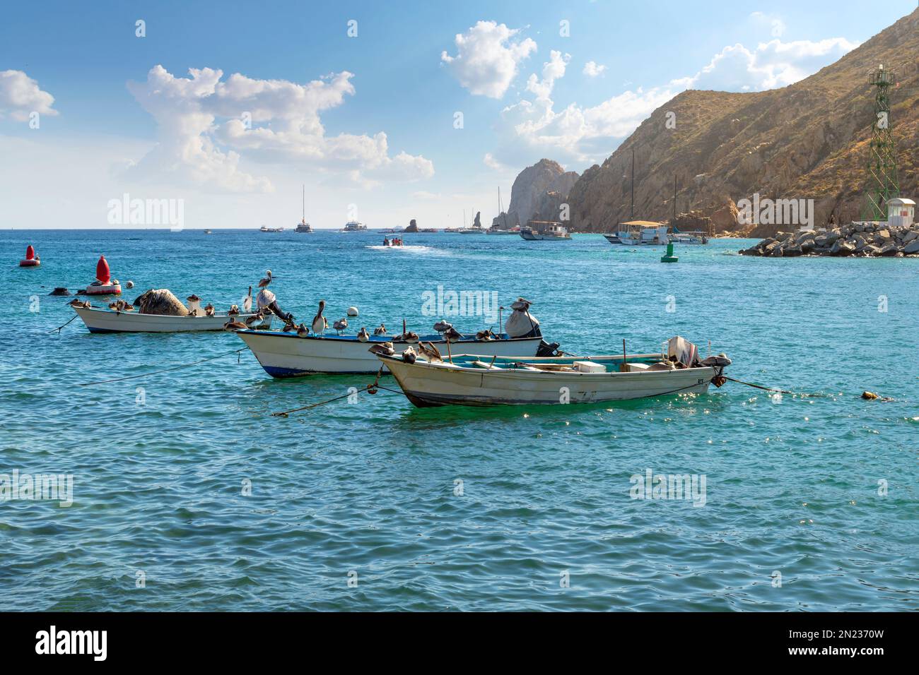 Pelicans enjoy relaxing on fishing boats in the sun with the El Arco ...