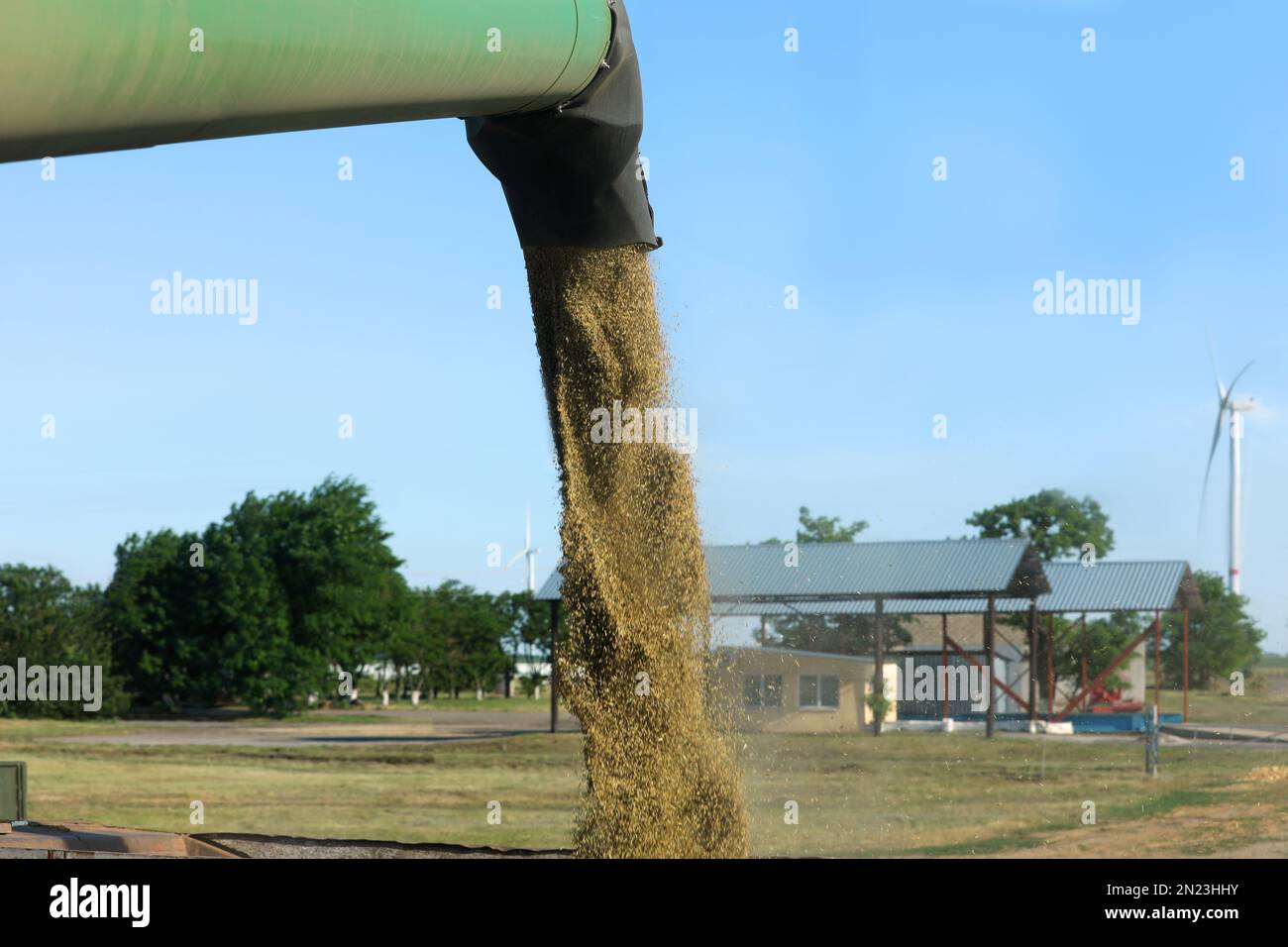 Modern combine harvester unloading wheat outdoors, closeup view of side ...