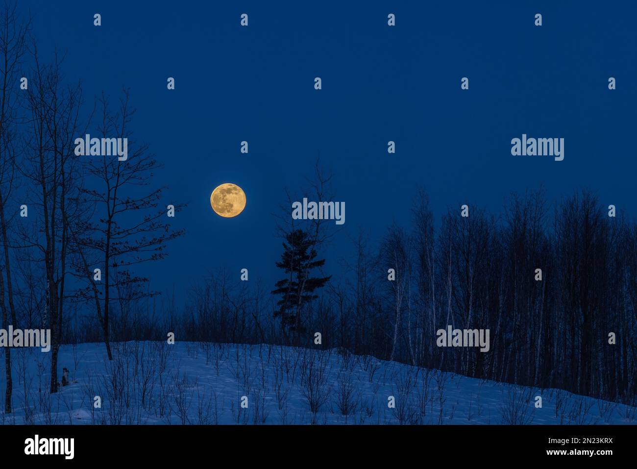 Full moon rising over a winter field in northern Wisconsin Stock Photo ...