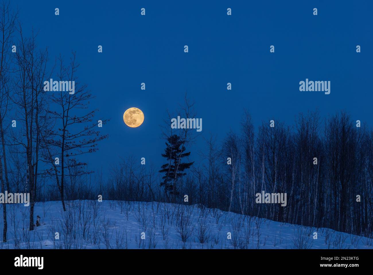 Full moon rising over a winter field in northern Wisconsin Stock Photo ...
