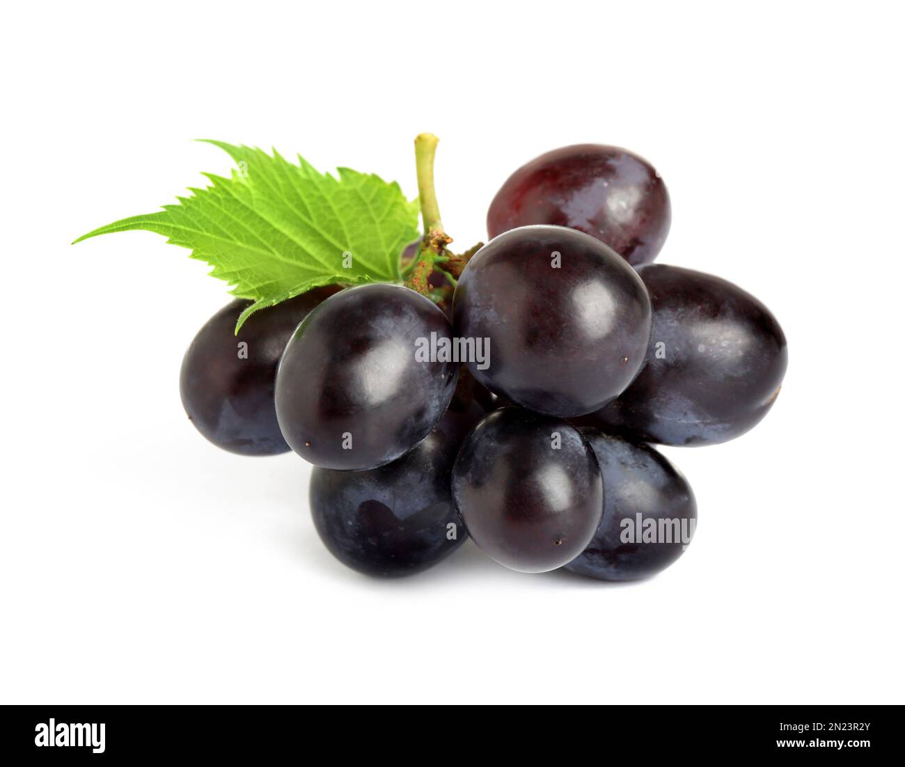 Fresh ripe juicy dark blue grapes with leaf isolated on white Stock ...