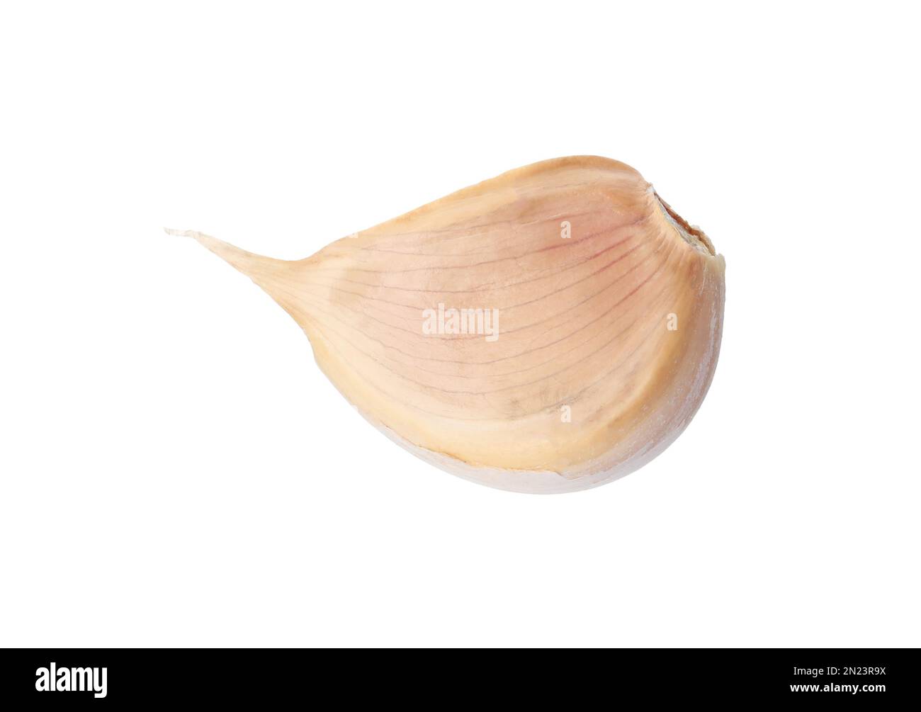 Fresh unpeeled garlic clove isolated on white. Organic food Stock Photo ...