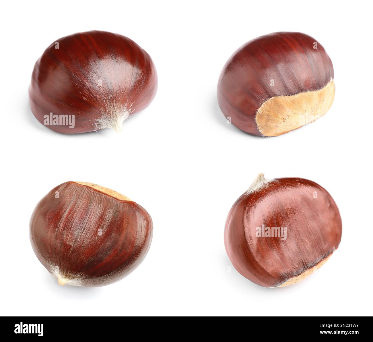 Set of sweet edible chestnuts on white background Stock Photo - Alamy