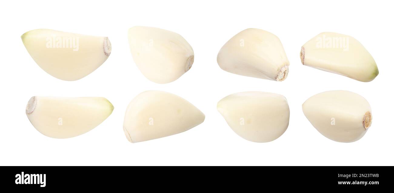 Set of fresh garlic cloves on white background. Banner design Stock ...