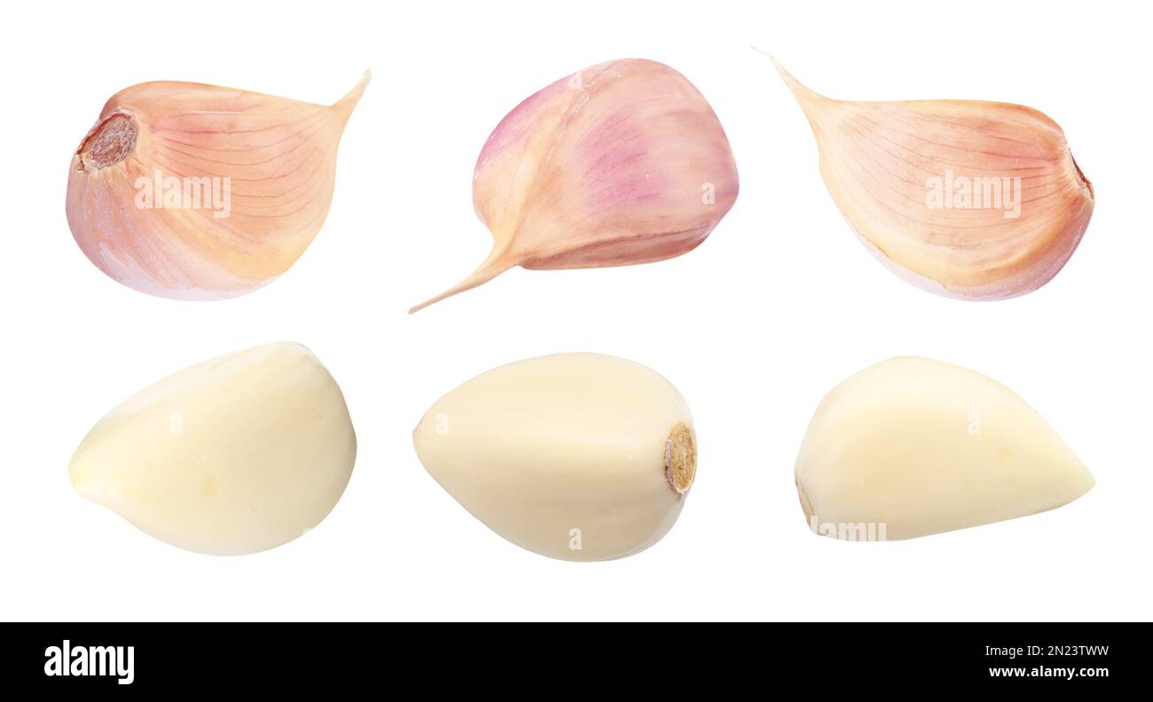 Set of fresh garlic cloves on white background. Banner design Stock ...