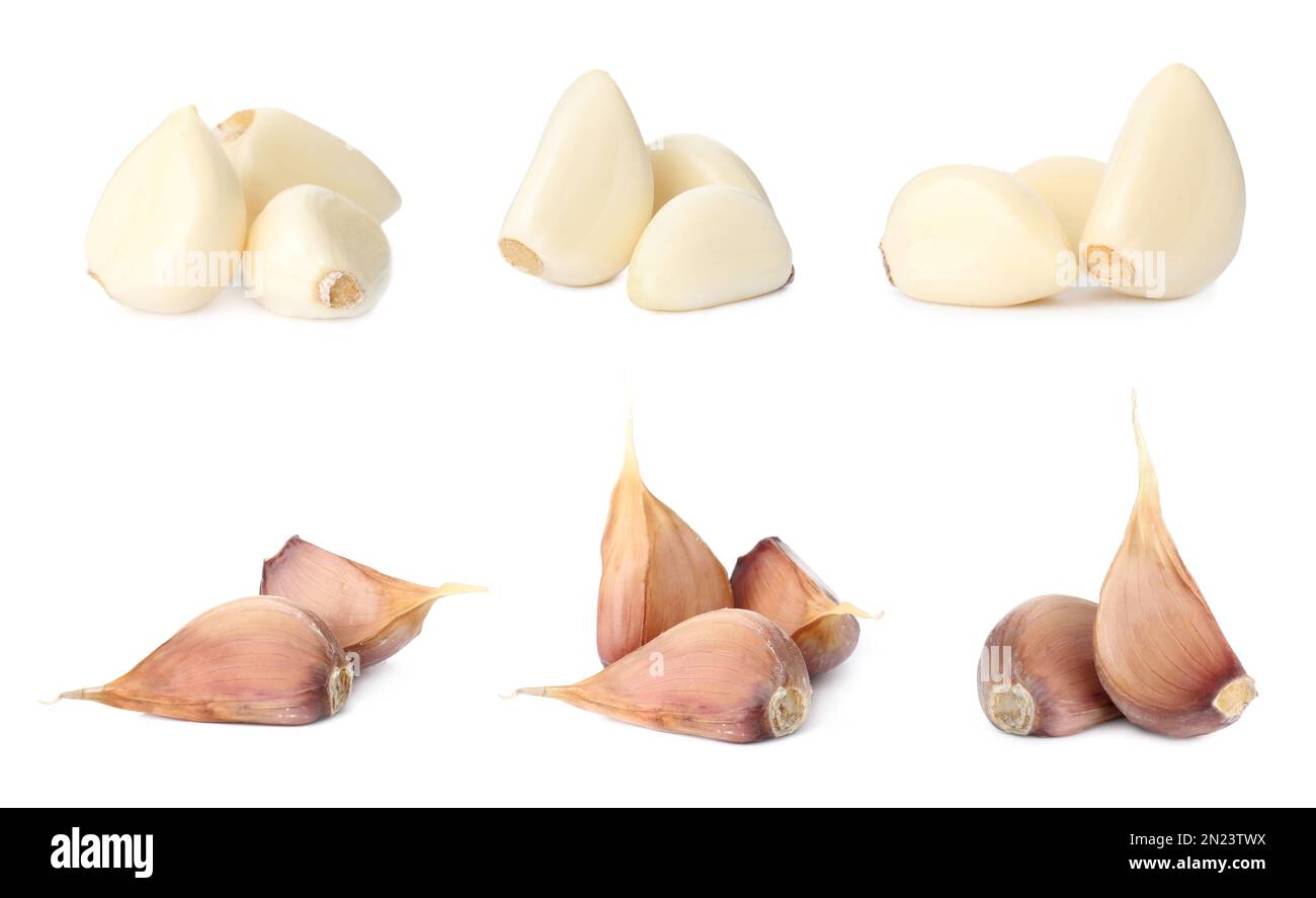 Set of fresh garlic cloves on white background Stock Photo - Alamy