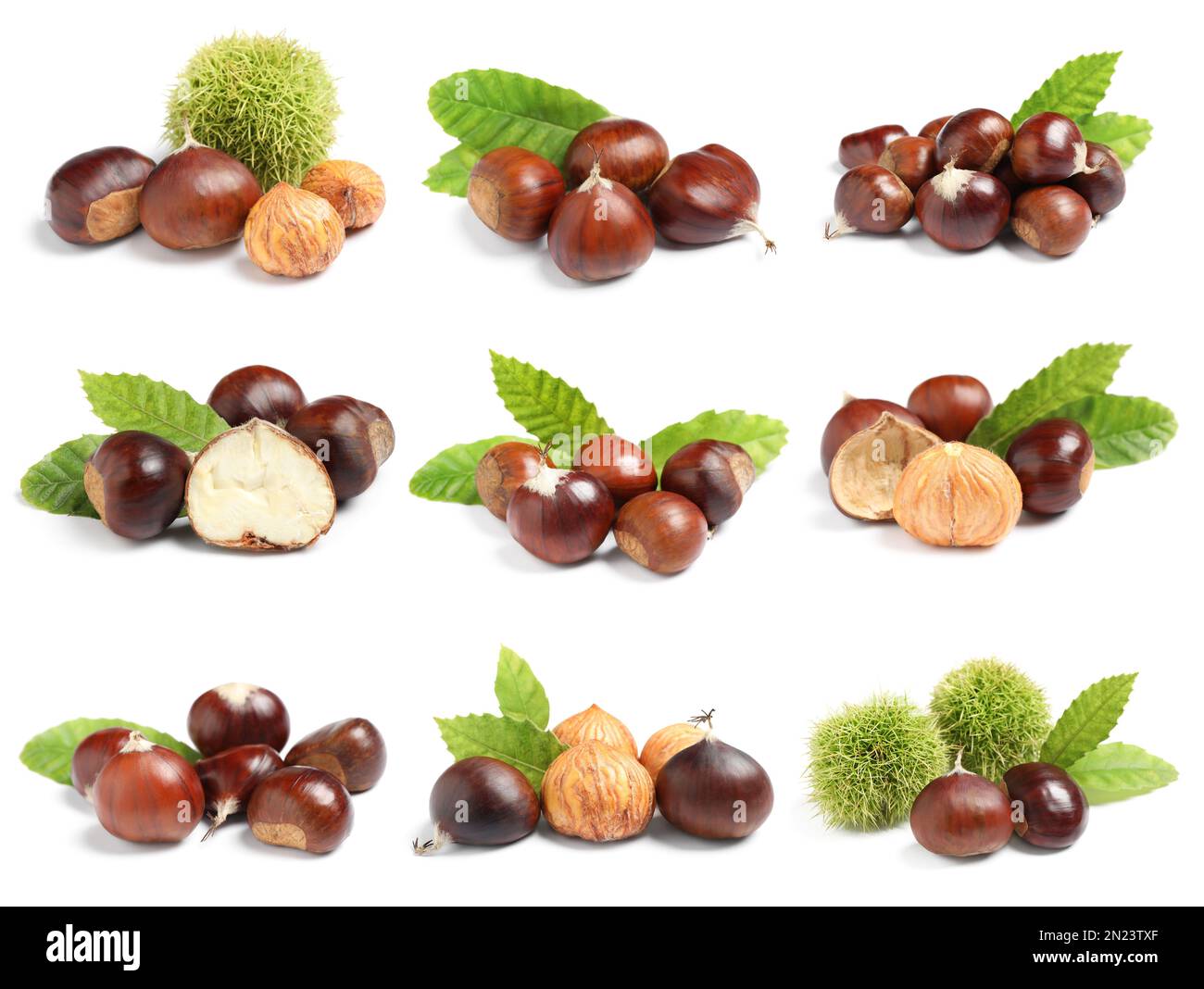 Set of sweet edible chestnuts with green leaves on white background ...
