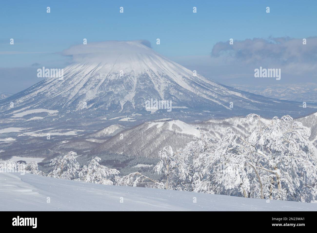 Trees and Mount Yotei, Hokkaido, Japan Stock Photo - Alamy