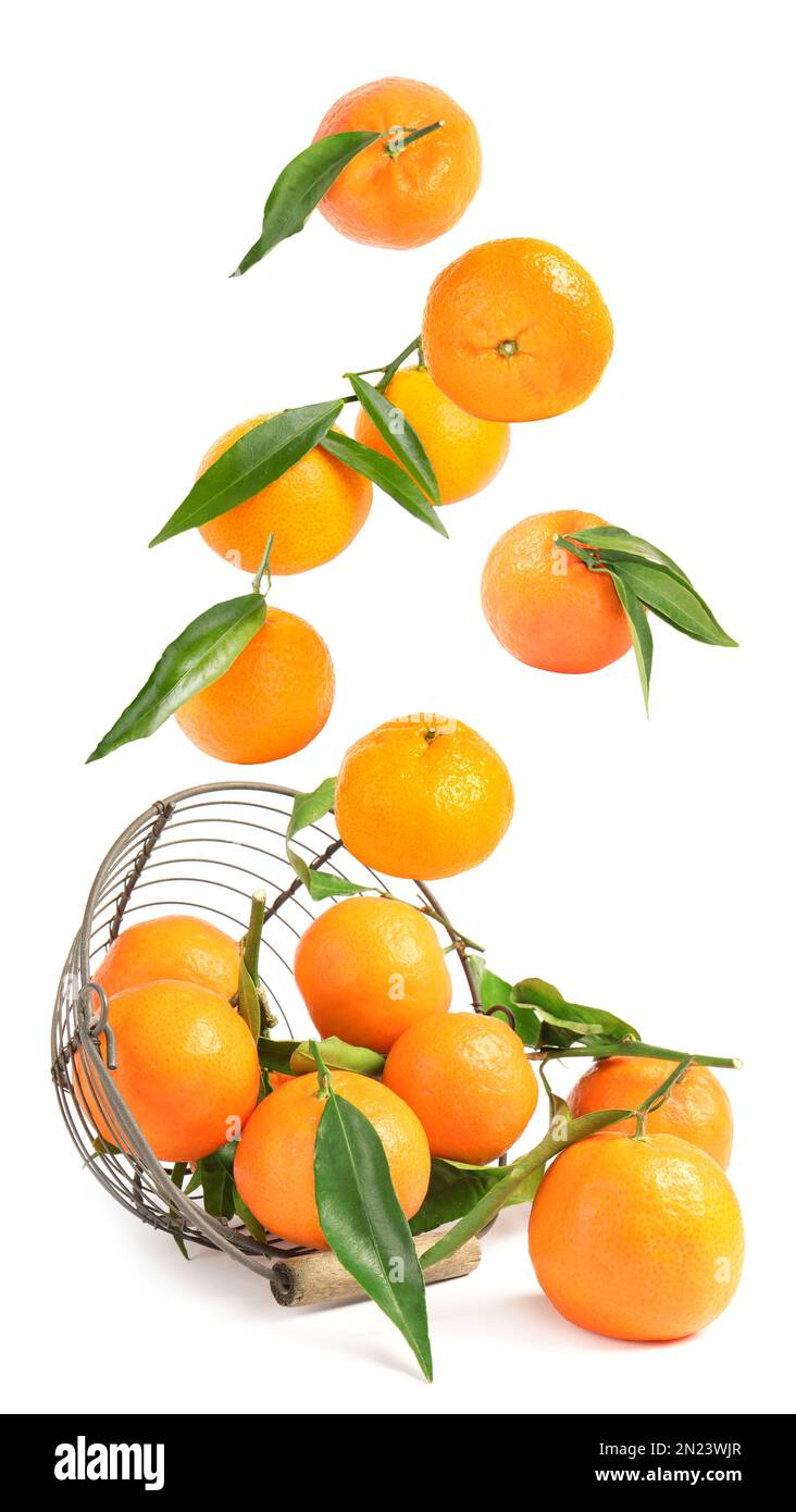 Set of fresh ripe tangerines falling on white background Stock Photo ...