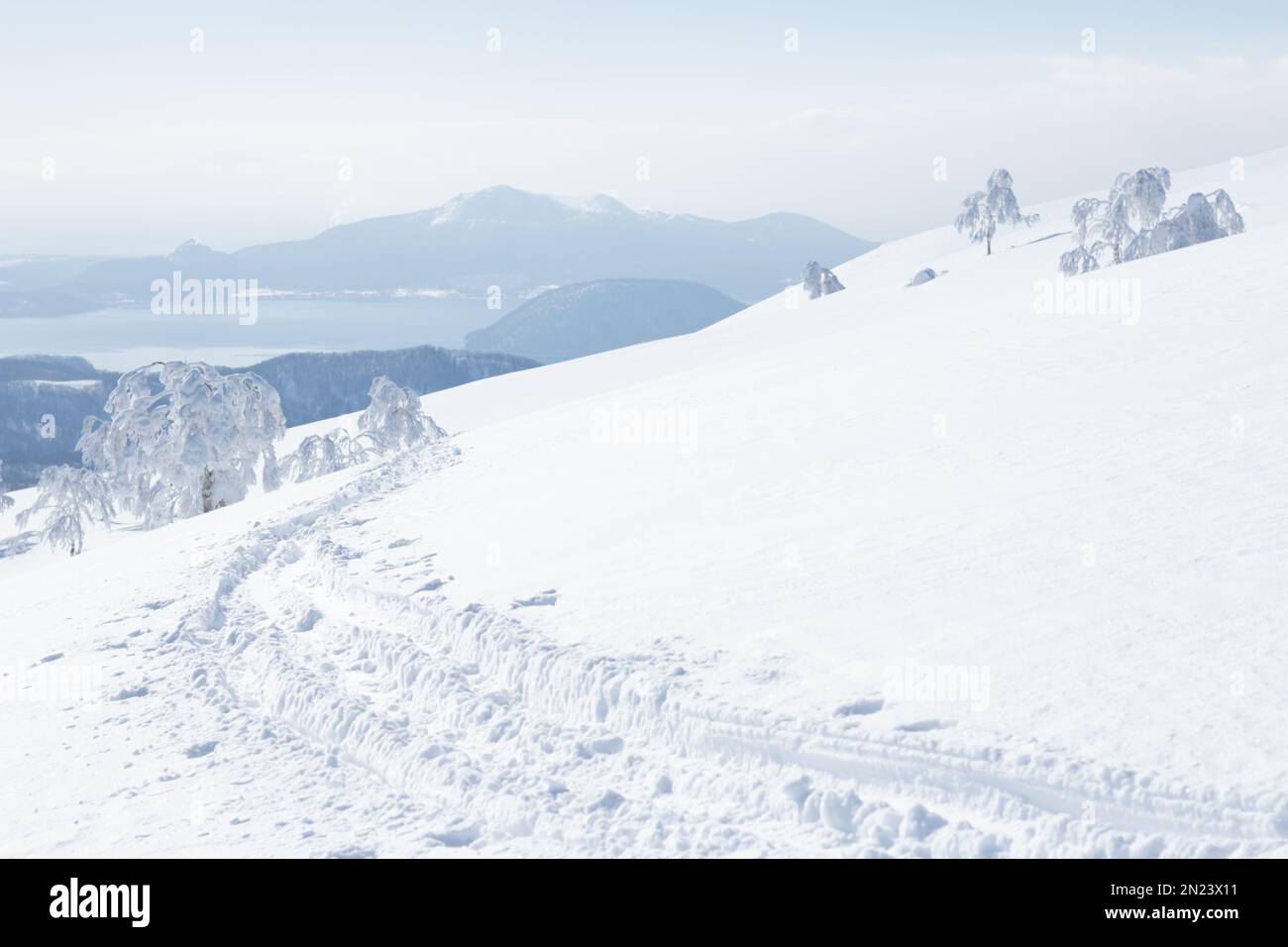 Ski tracks leading through deep powder snow Stock Photo - Alamy