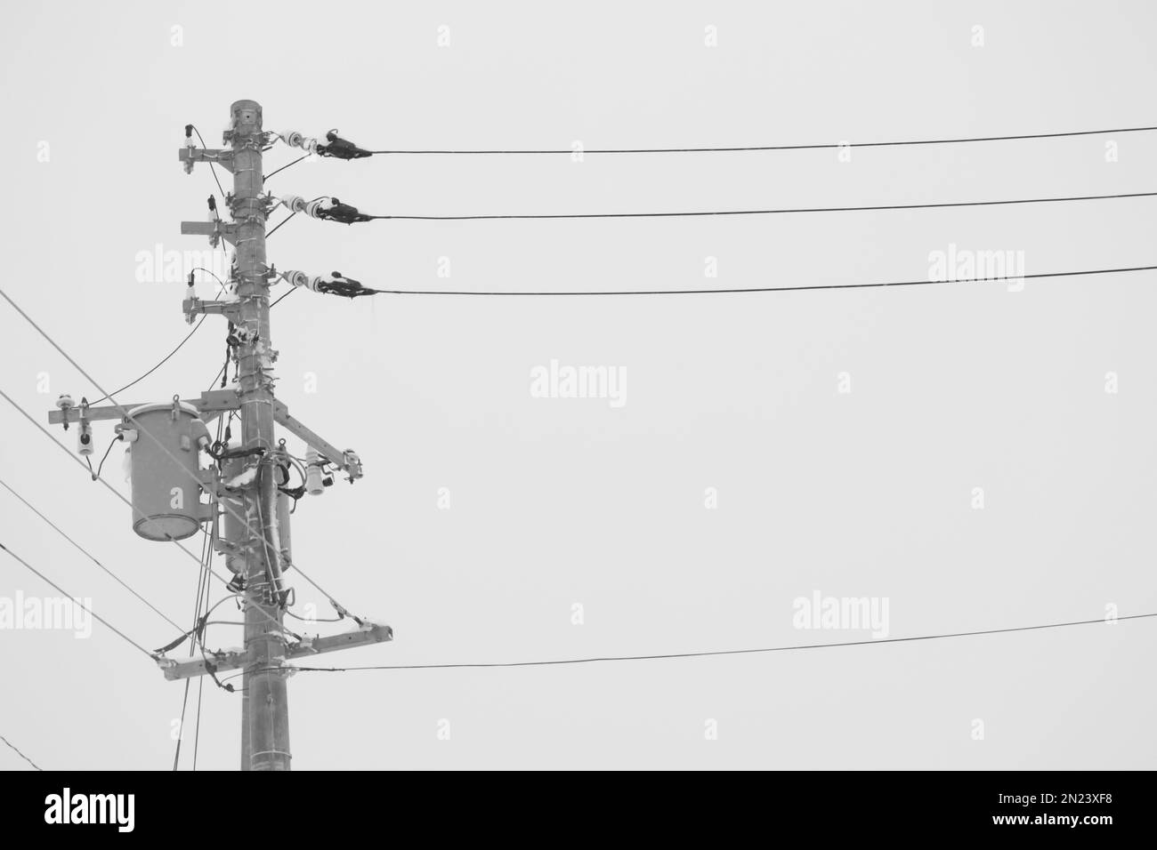 Grey utility pole hi-res stock photography and images - Alamy