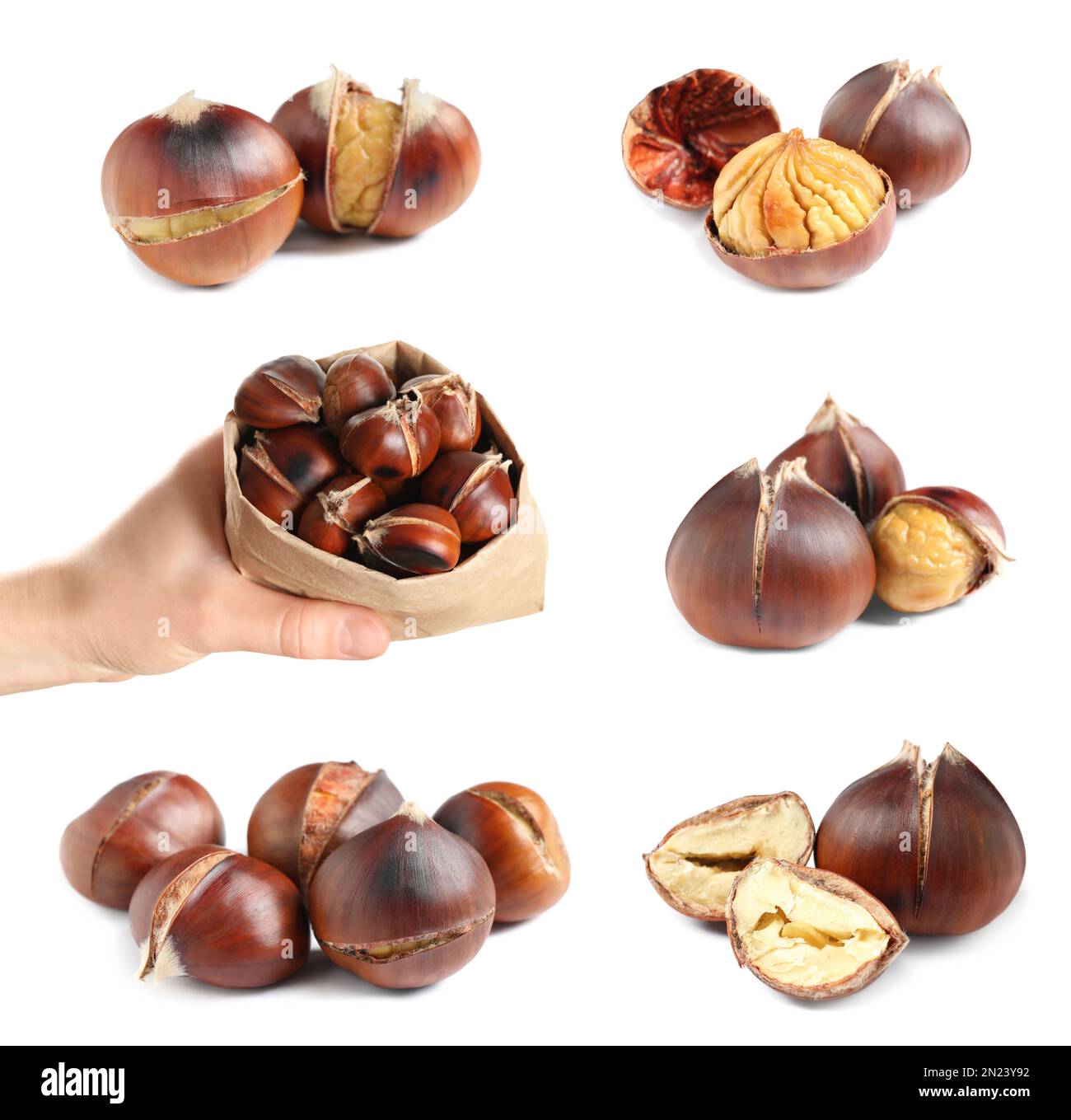 Collage with sweet roasted edible chestnuts isolated on white Stock ...