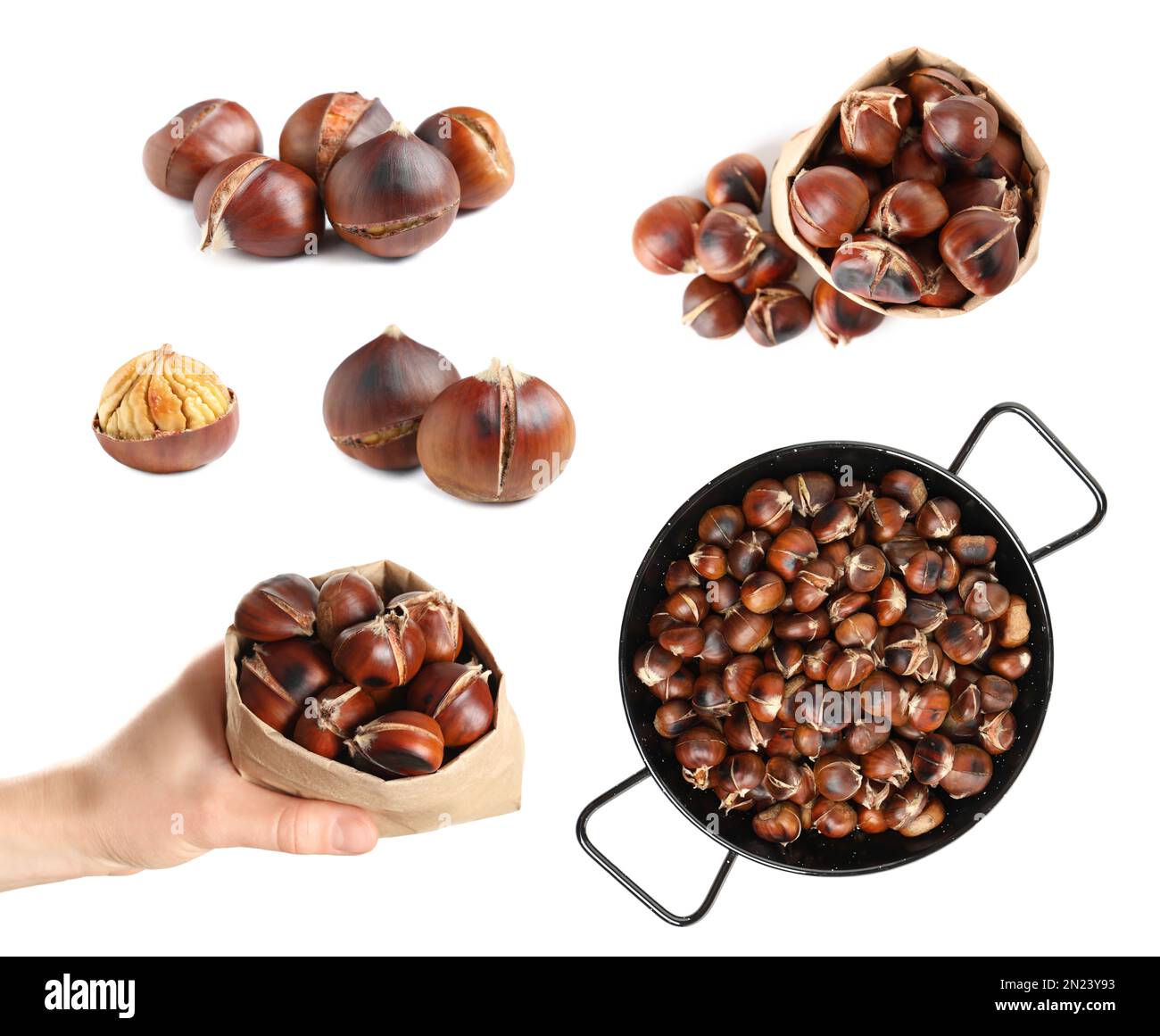 Young chestnuts on white hi-res stock photography and images - Alamy