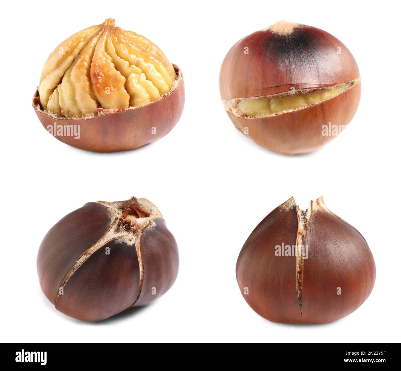 Set of sweet roasted edible chestnuts isolated on white Stock Photo - Alamy