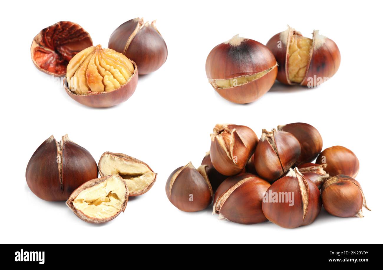 Set of sweet roasted edible chestnuts isolated on white Stock Photo - Alamy