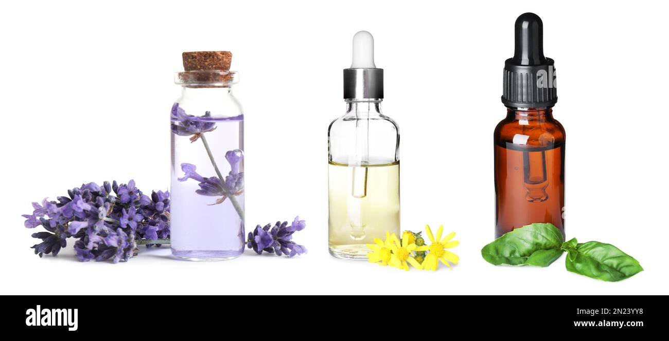 Set of different essential oils for aromatherapy on white background ...