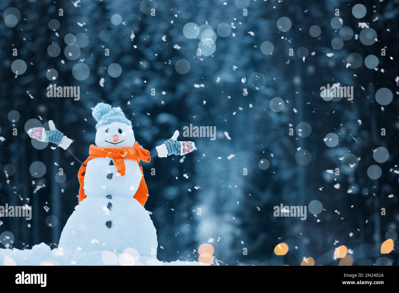 Snowflakes falling on snowman in forest, bokeh effect Stock Photo - Alamy