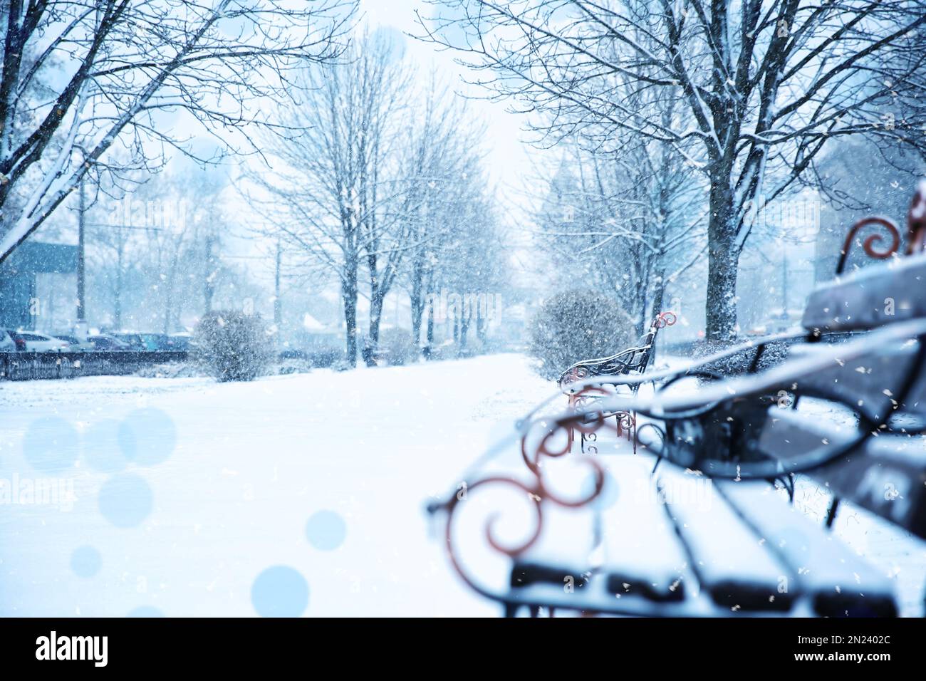 Snowflakes falling in city park, bokeh effect Stock Photo - Alamy