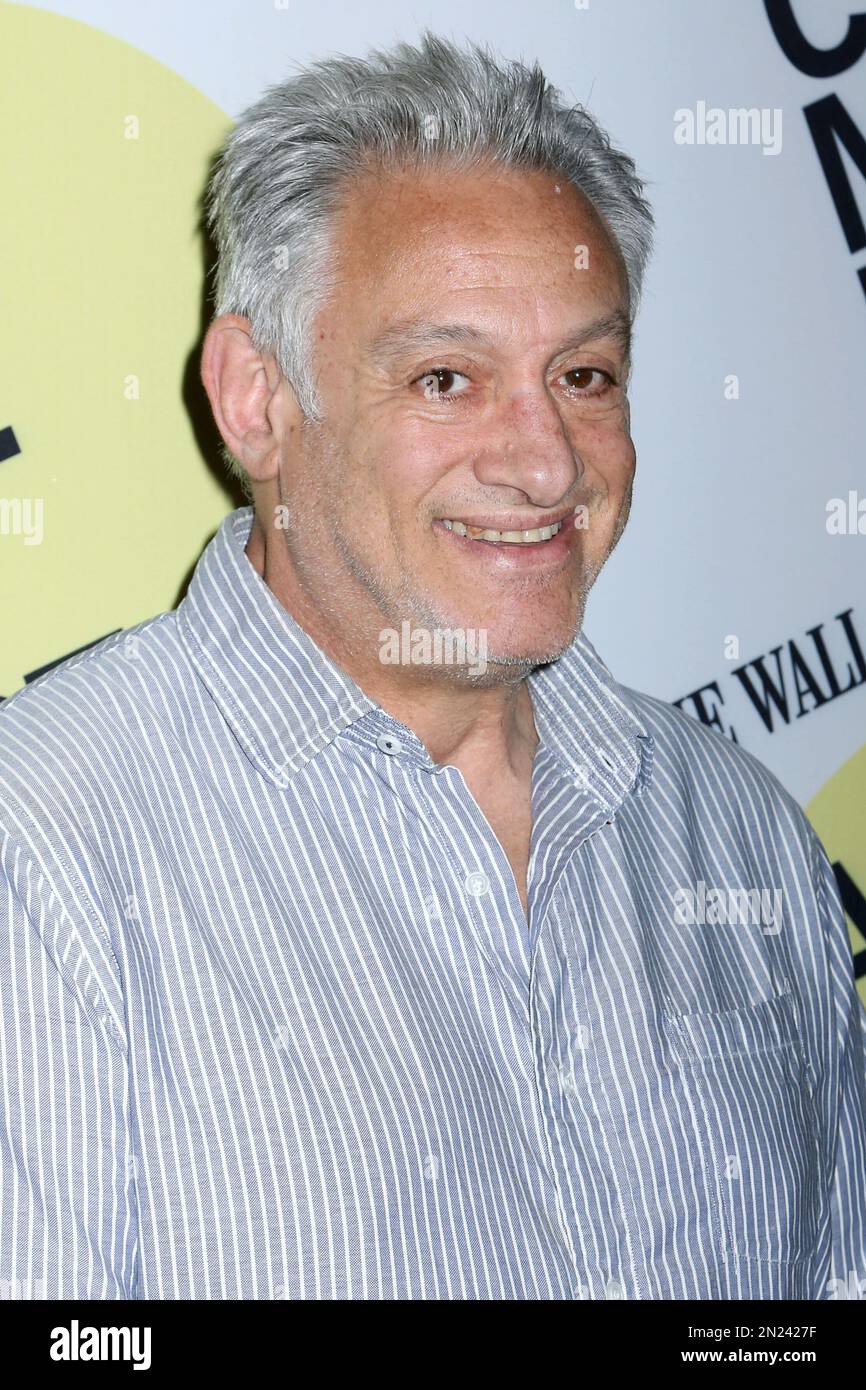 Cary Woods attends the BAMcinemaFest 2015 20th Anniversary Screening of ...