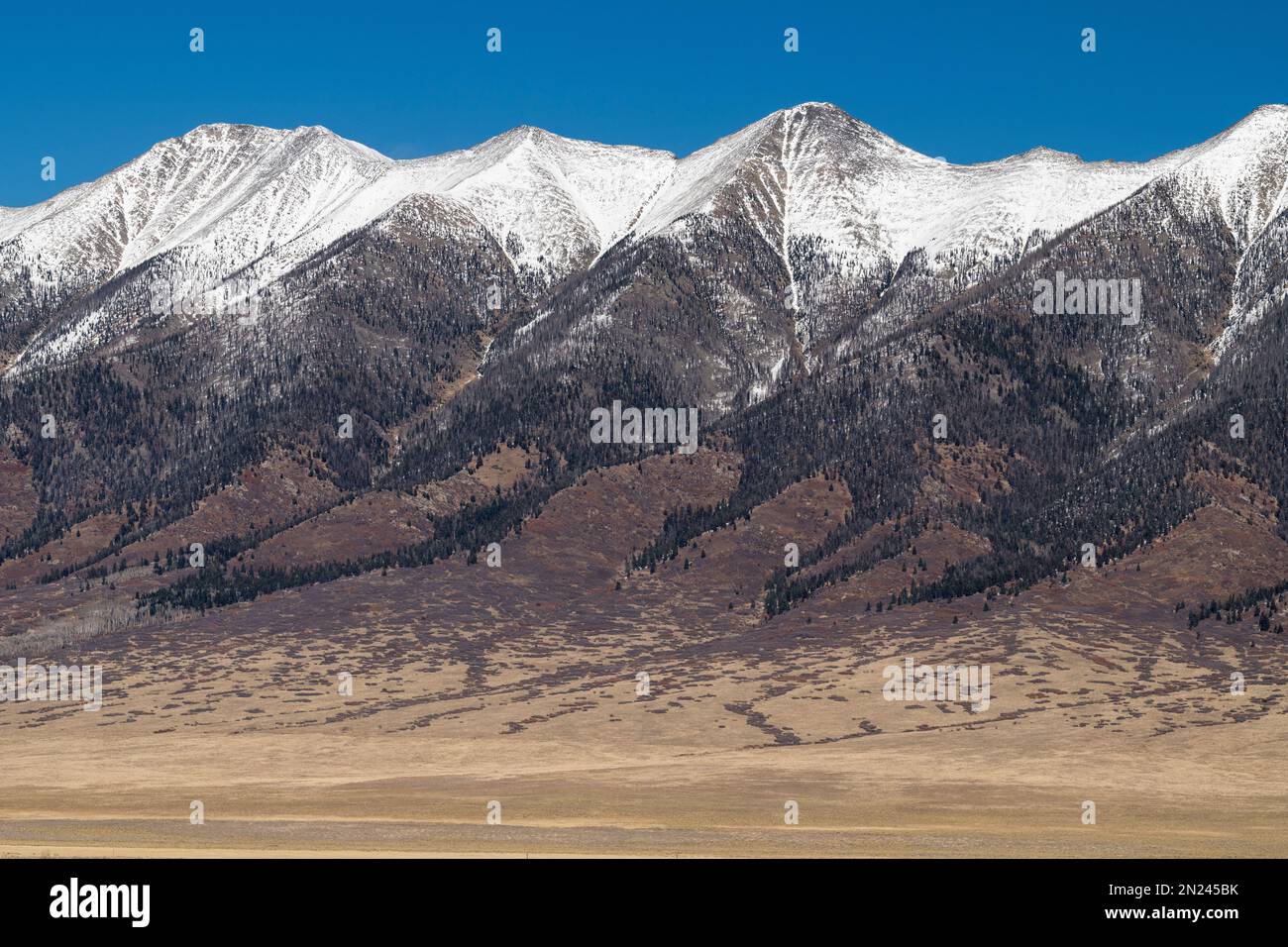 12,865 Foot Mount Otto is part of the Sangre de Cristo Mountain Range ...