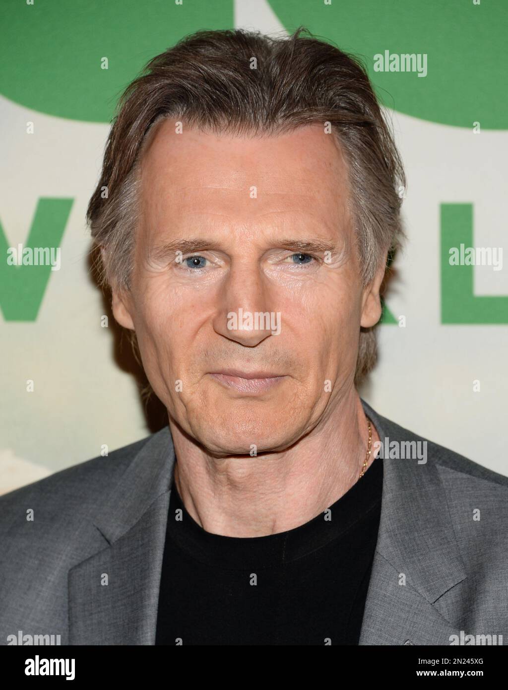 Liam Neeson attends the world premiere of "Ted 2" at the Ziegfeld ...