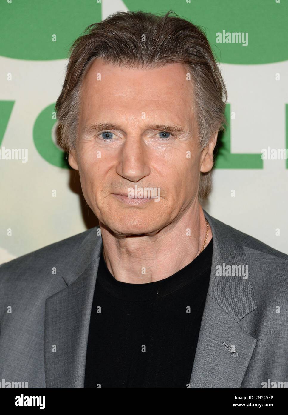 Liam Neeson attends the world premiere of "Ted 2" at the Ziegfeld ...
