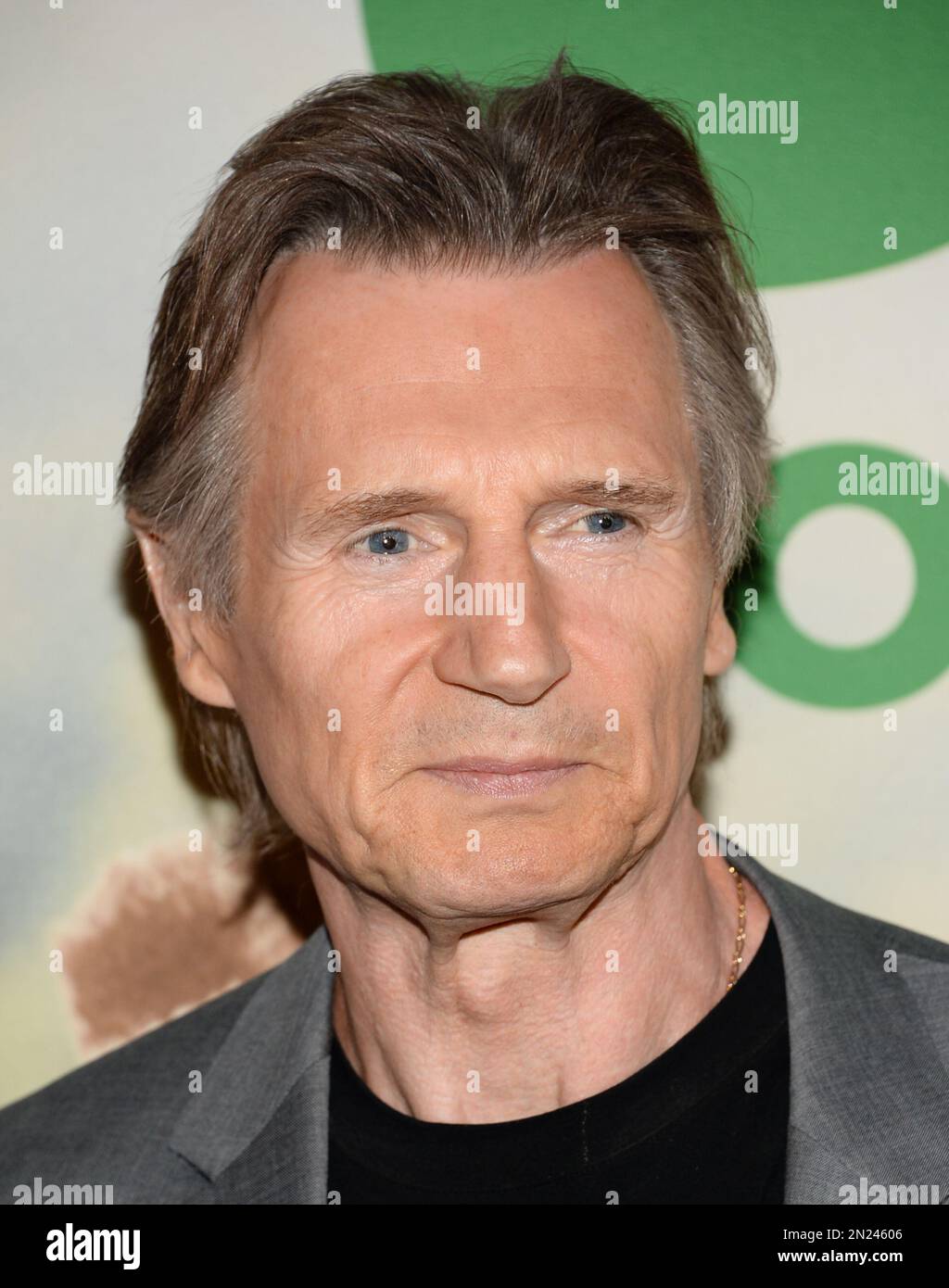Liam Neeson attends the world premiere of "Ted 2" at the Ziegfeld ...