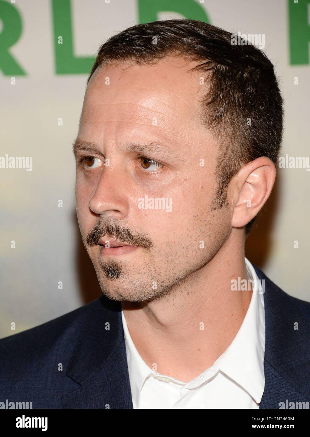 Giovanni Ribisi attends the world premiere of "Ted 2" at the Ziegfeld ...