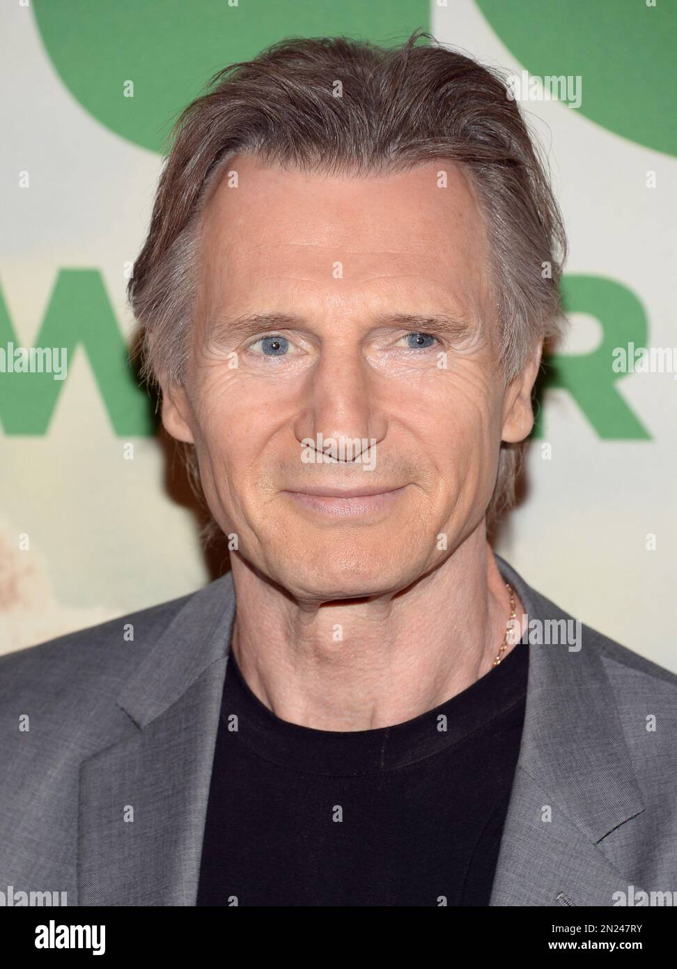 Liam Neeson attends the world premiere of "Ted 2" at the Ziegfeld ...