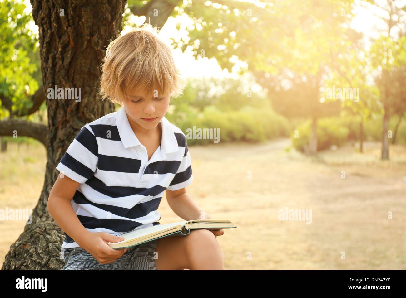 Cute little boy reading book near tree in park Stock Photo - Alamy