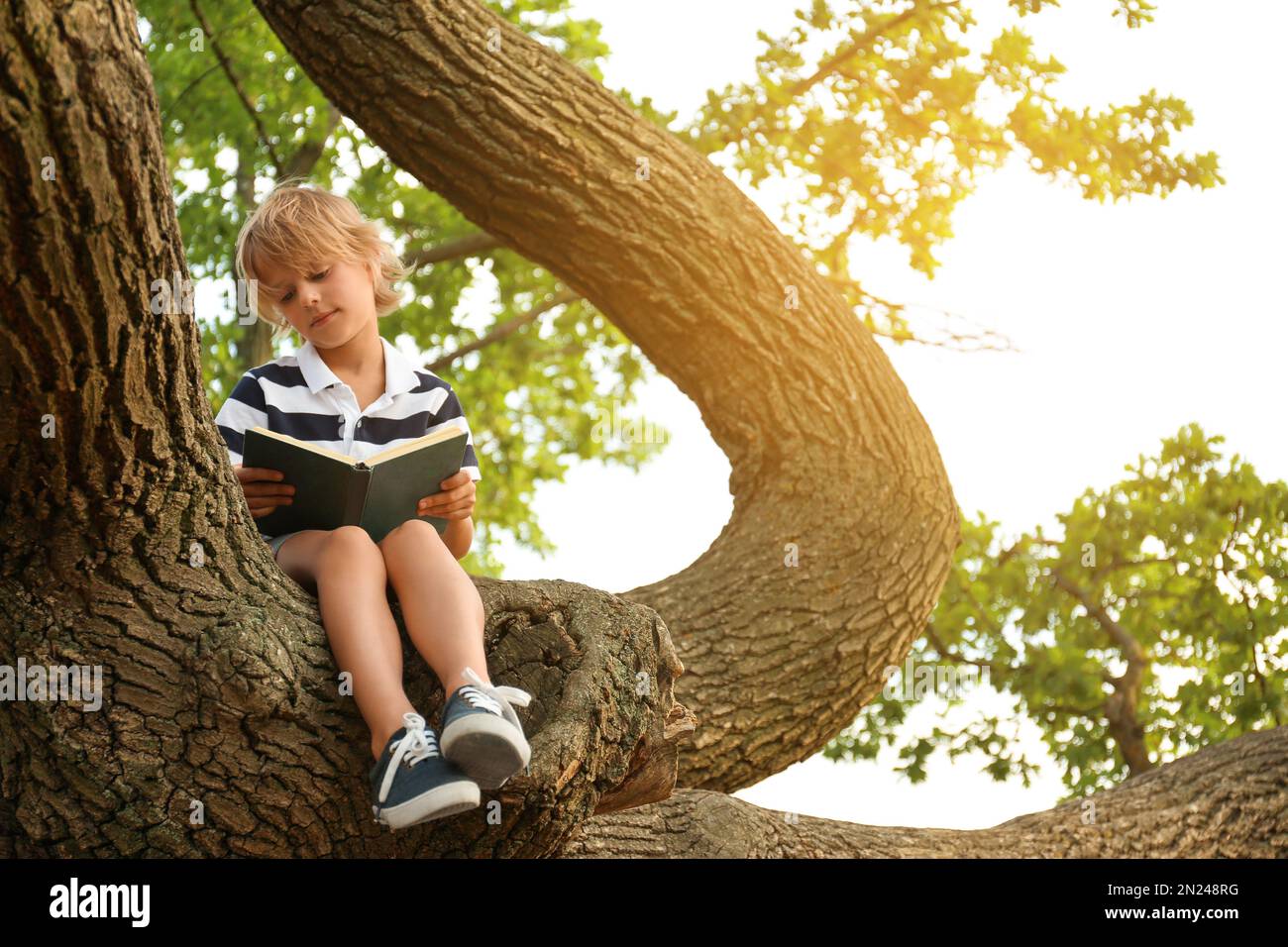 Cute little boy reading book on tree in park Stock Photo - Alamy
